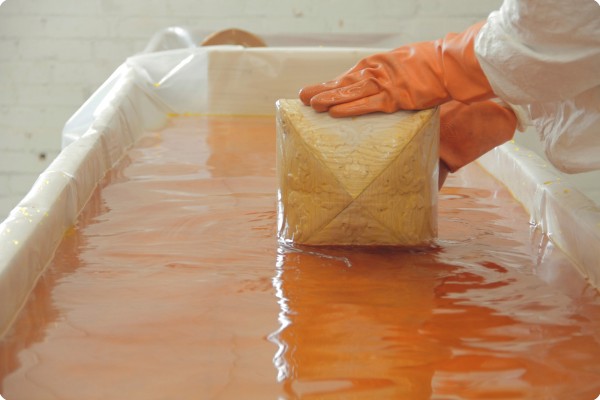 The Natural History Building - Champaign Urbana